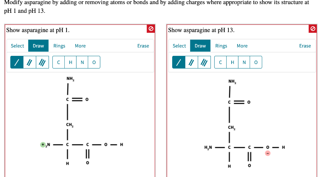 Solved Modify asparagine by adding or removing atoms or | Chegg.com