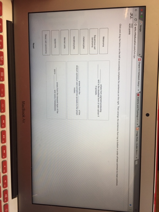 Solved Click and drag the terms on the left to accurately | Chegg.com