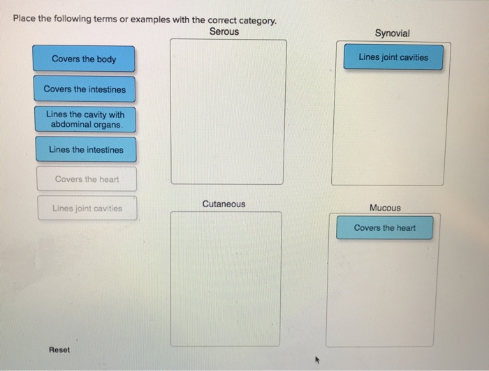 Solved Place the following terms or examples with the | Chegg.com