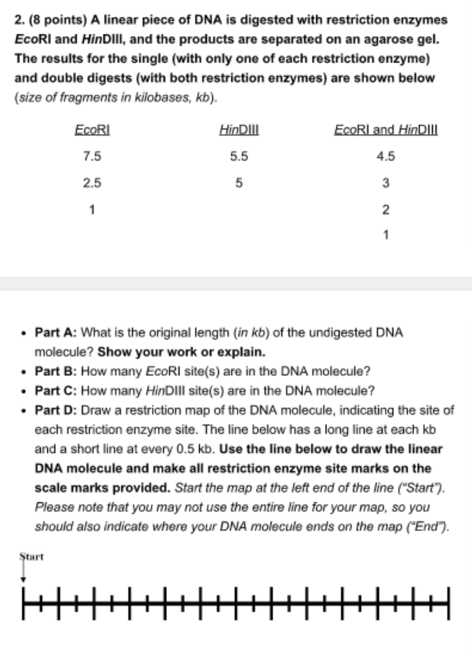 2. (8 points) A linear piece of DNA is digested with | Chegg.com
