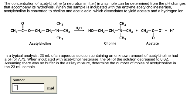 Acetylcholine Choline - Brain Mind Article