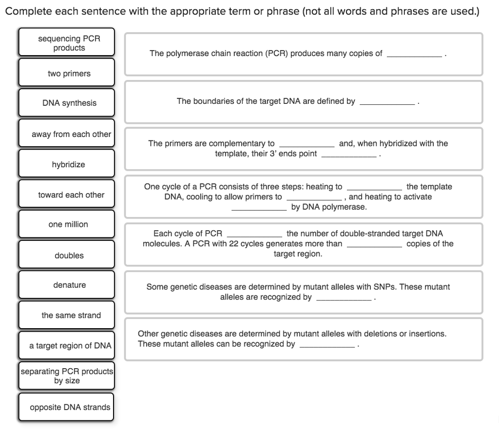 Solved Complete each sentence with the appropriate term or | Chegg.com