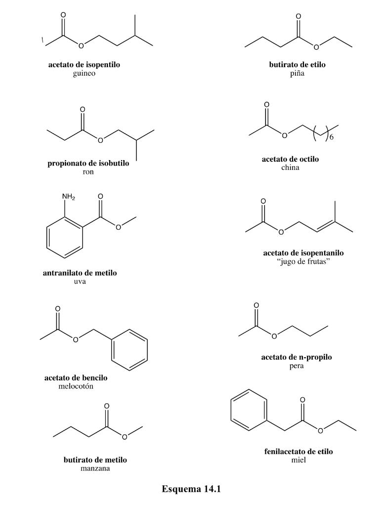 Solved Can you name the components of each of | Chegg.com