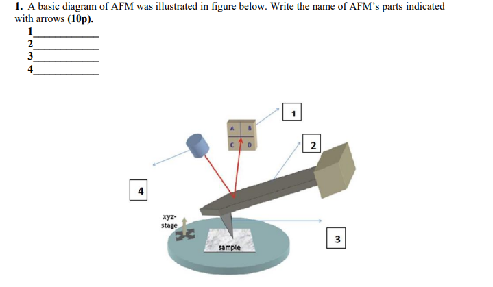 Solved 1. A basic diagram of AFM was illustrated in figure | Chegg.com