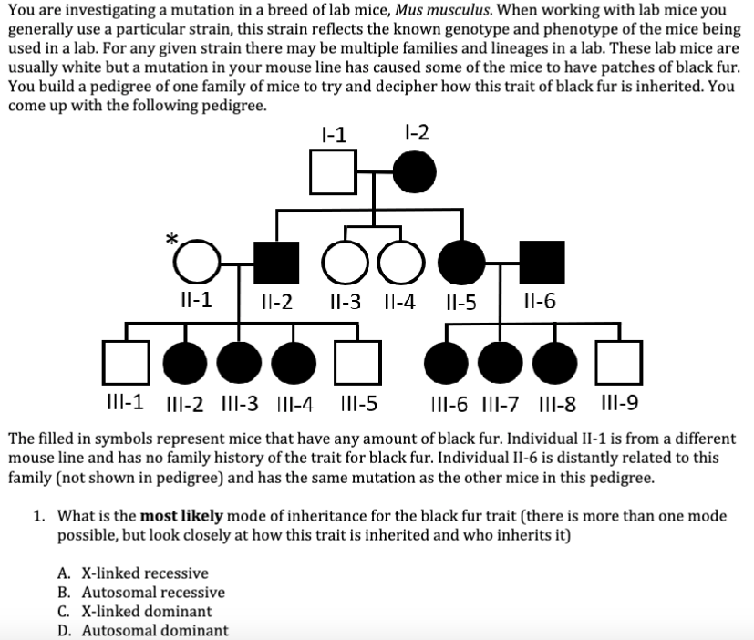 Solved You are investigating a mutation in a breed of lab | Chegg.com