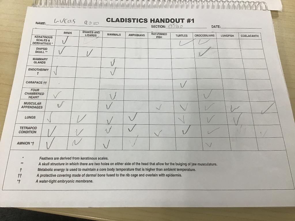 Solved Can someone check this and tell me where I need to | Chegg.com