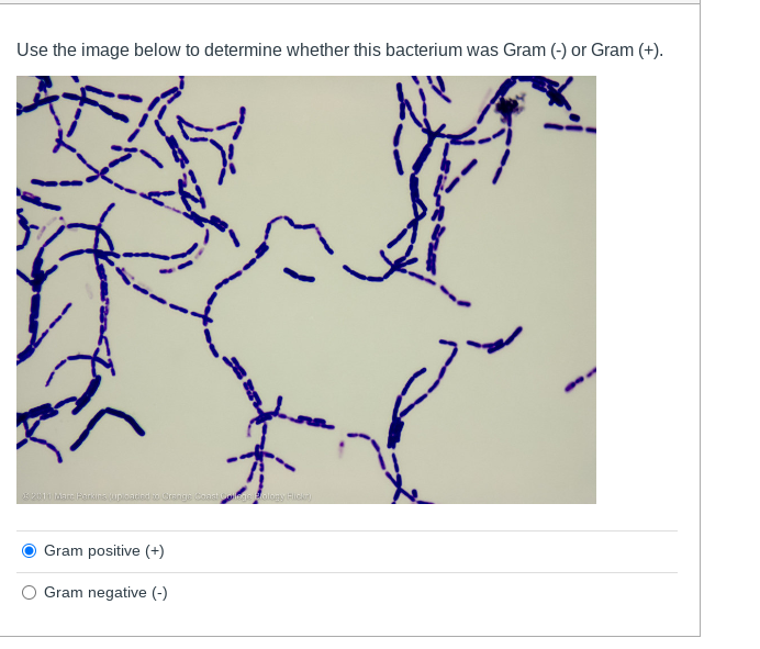 Solved Use the image below to determine whether this | Chegg.com