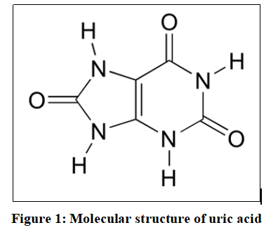 Uric Acid Structure