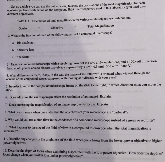 Compound Light Microscope Magnification Calculation | Shelly Lighting
