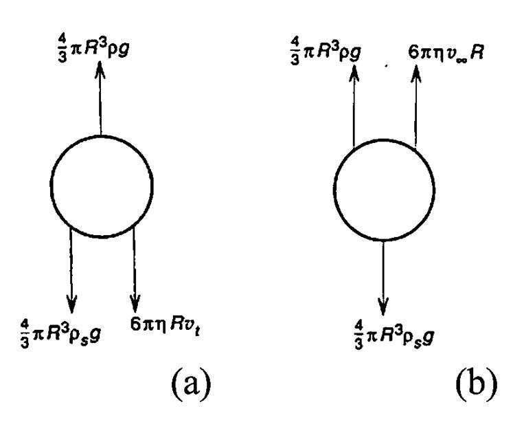 Solved Small particles of magnesium oxide are precipitated | Chegg.com