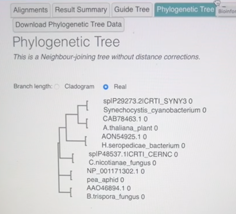 Solved Does your tree support the hypothesis that the | Chegg.com
