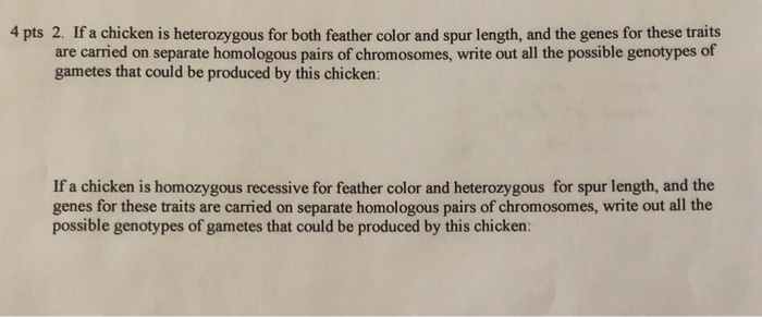 Solved 4 pts 2. If a chicken is heterozygous for both | Chegg.com