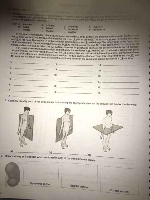 Solved Several incomplete statements appear below. Correctly | Chegg.com