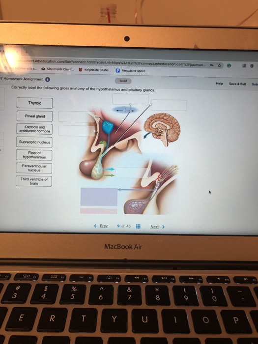 Solved .htmrPreturnuri"https%3A%2F%2F 7 Homework Assignment | Chegg.com