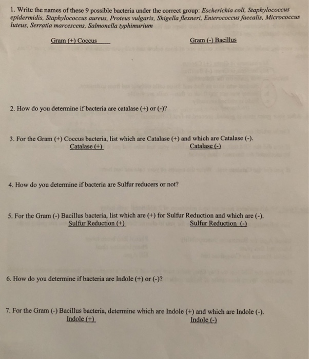 Solved 1. Write the names of these 9 possible bacteria under | Chegg.com