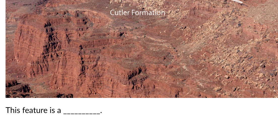 Solved What stratigraphic feature is marked by the black | Chegg.com