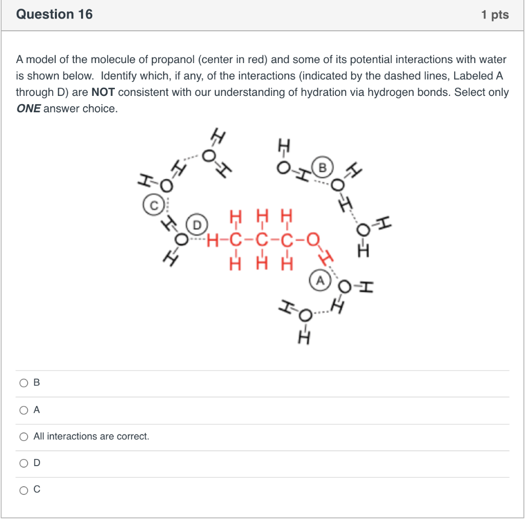 Solved Question 16 1 pts A model of the molecule of propanol | Chegg.com