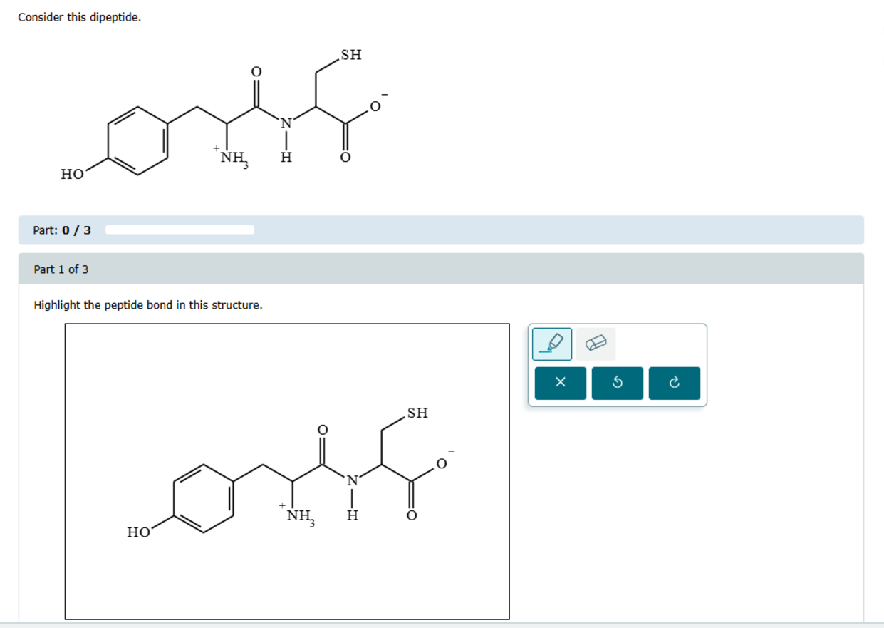 Solved Consider this dipeptide.Part: \( 0 / 3 \)Part 1 ﻿of | Chegg.com