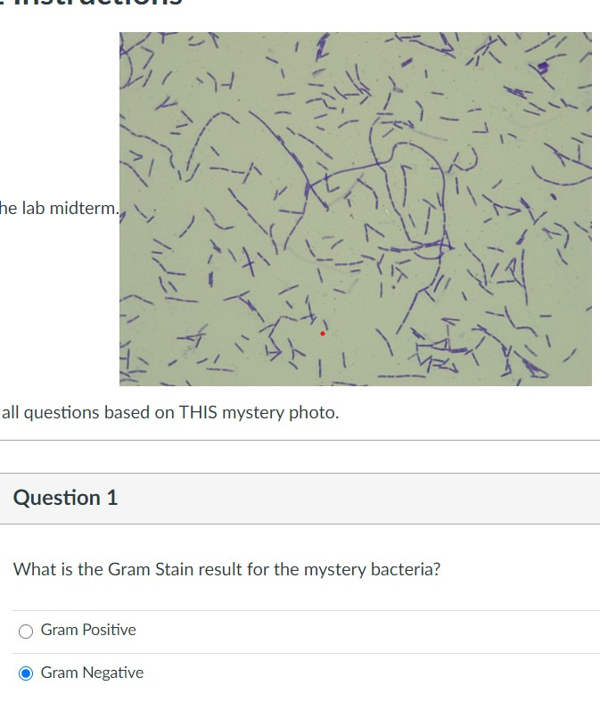 Solved VZ he lab midterm. السر ti F all questions based on | Chegg.com