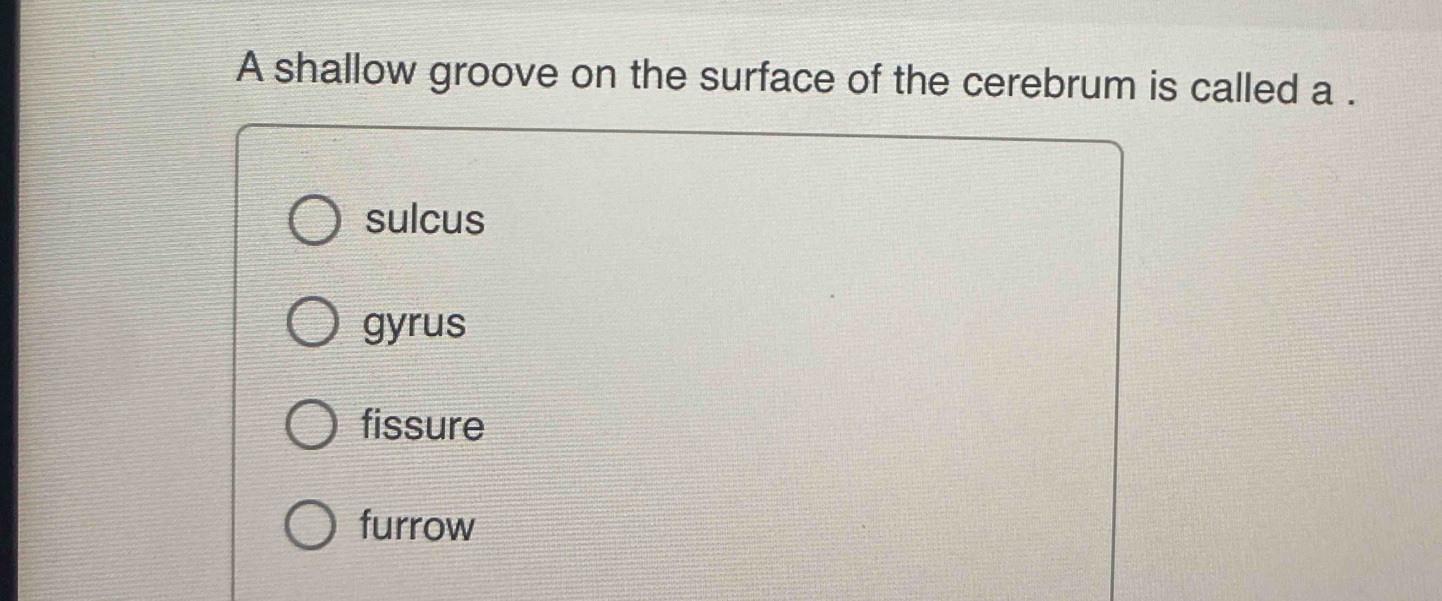 Solved A shallow groove on the surface of the cerebrum is | Chegg.com