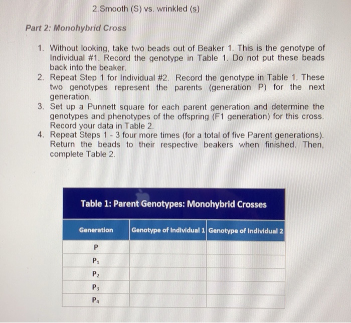 Solved Experiment 1: Punnett Square Crosses In this | Chegg.com Solved Experiment 1: Punnett Square Crosses In this | Chegg.com
