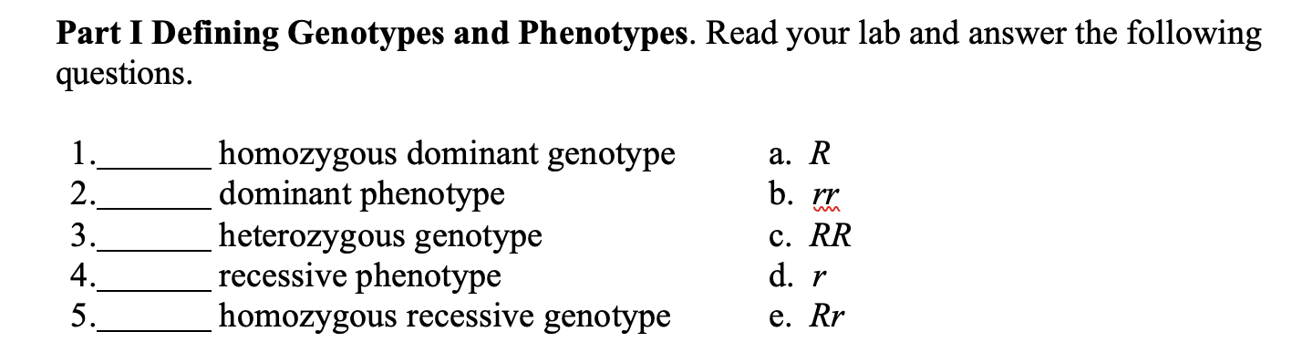 Solved Part I Defining Genotypes and Phenotypes. Read your | Chegg.com