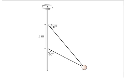 Solved Two wires are tied to the 2.5 kg sphere shown in the | Chegg.com