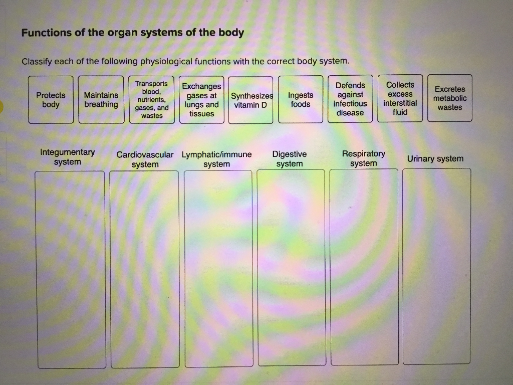 Solved Functions of the organ systems of the body Classify | Chegg.com Solved Functions of the organ systems of the body Classify | Chegg.com