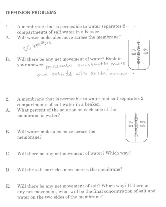 Solved DIFFUSION PROBLEMS 1. . A membrane that is permeable | Chegg.com