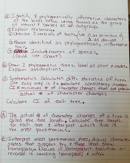 Solved Barbets (Outgroup to the toucans): Ewbuces richardsea | Chegg.com