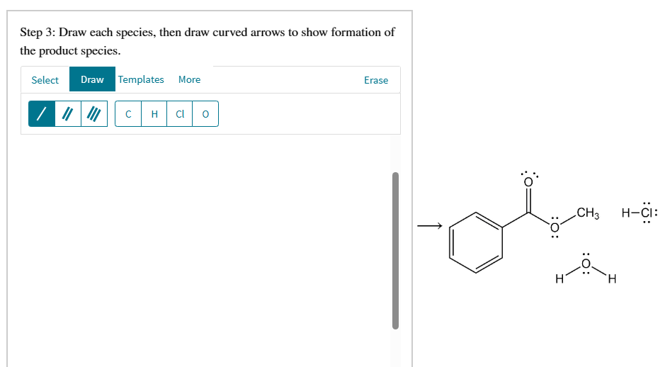 Solved Examination of the Fischer esterification mechanism | Chegg.com