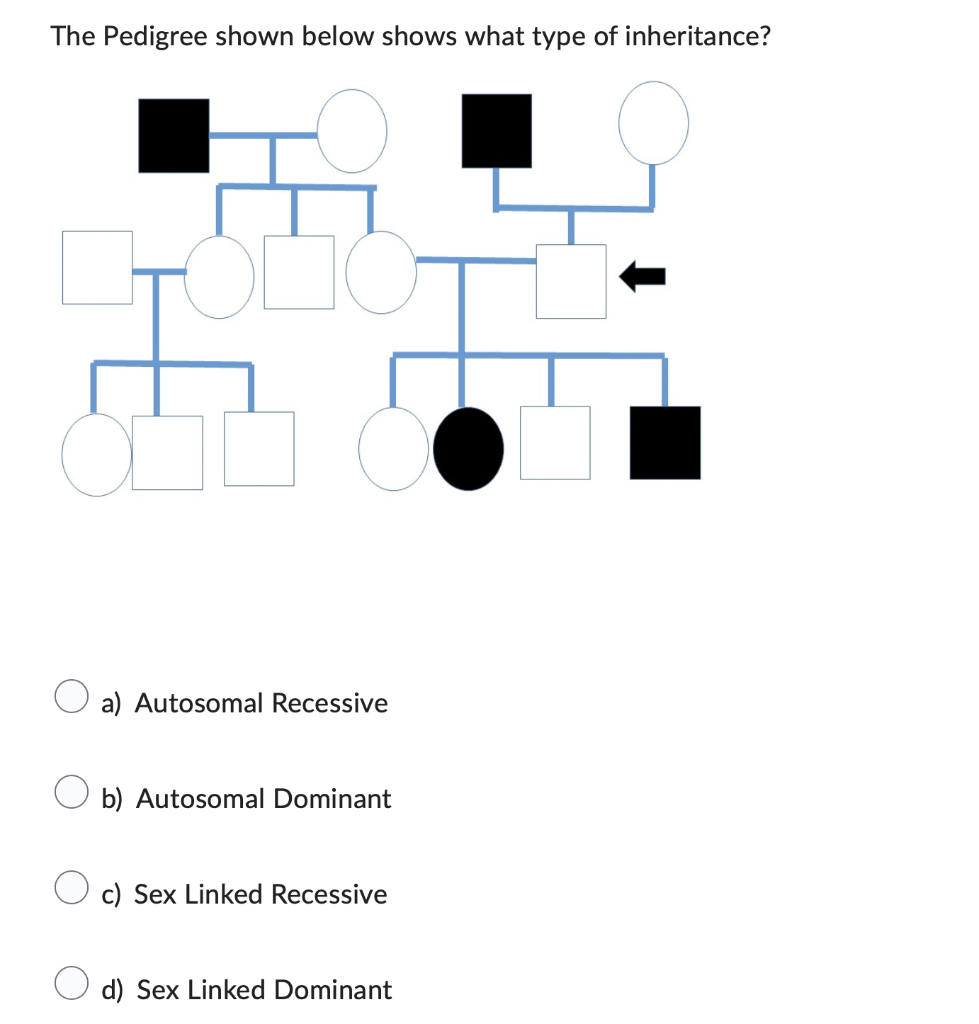 Solved The Pedigree shown below shows what type of | Chegg.com