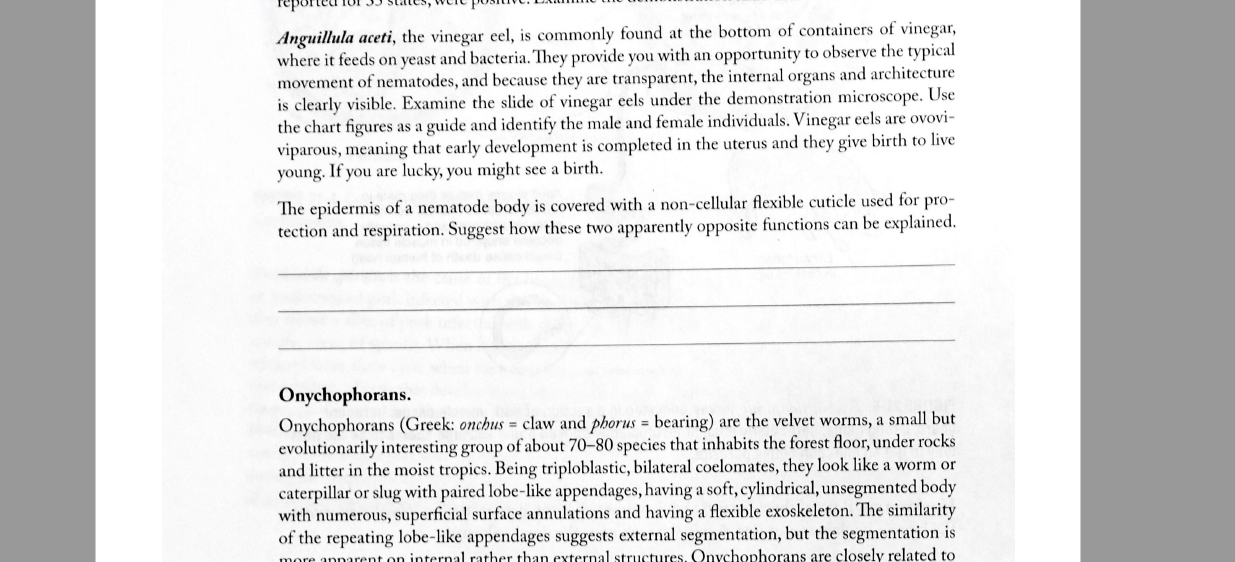 Solved Anguillula aceti, the vinegar eel, is commonly found | Chegg.com