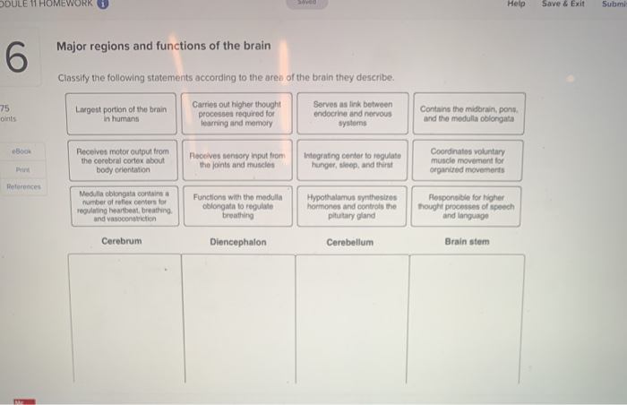 Solved DULE 11 HOMEWORK Help Save & Exit Submi Major regions | Chegg.com