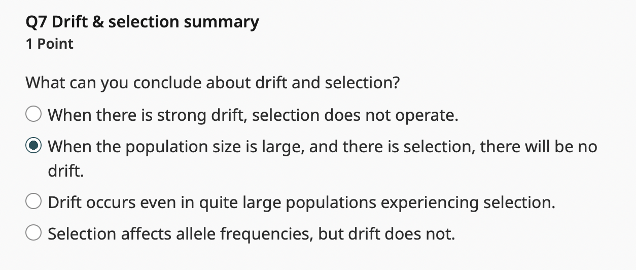 Solved Q7 ﻿Drift & selection summary1 ﻿PointWhat can you | Chegg.com