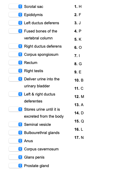 Solved Use the following labelled figure to match the | Chegg.com
