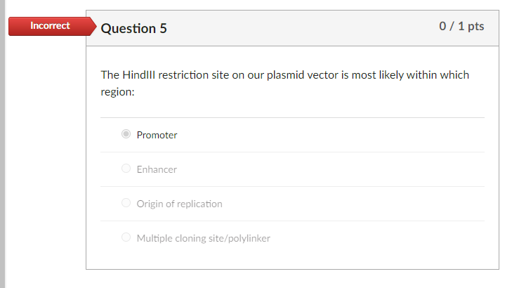 Solved Incorrect Question 5 0/1 pts The Hindill restriction | Chegg.com