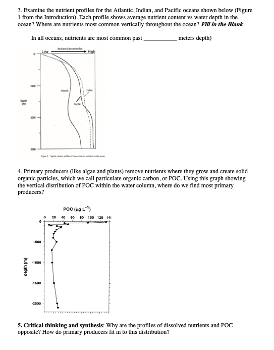 Solved Marine Ecosystems Problem Set Part I: Determining | Chegg.com