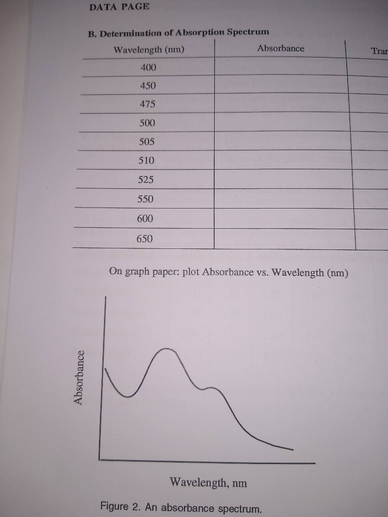 How to find absorbance and how to create a graph like | Chegg.com