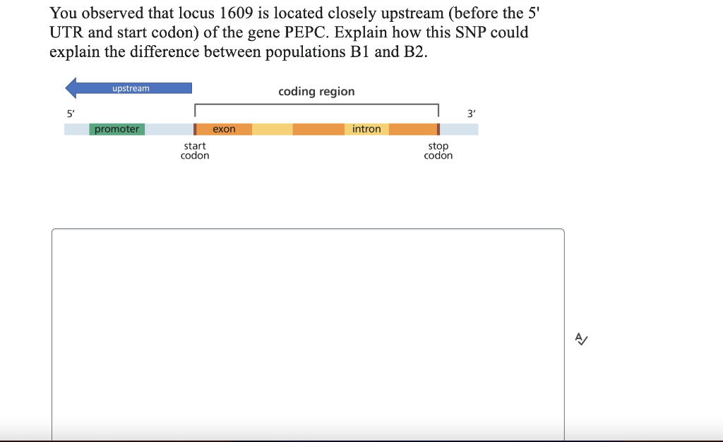 Solved You observed that locus 1609 is located closely | Chegg.com