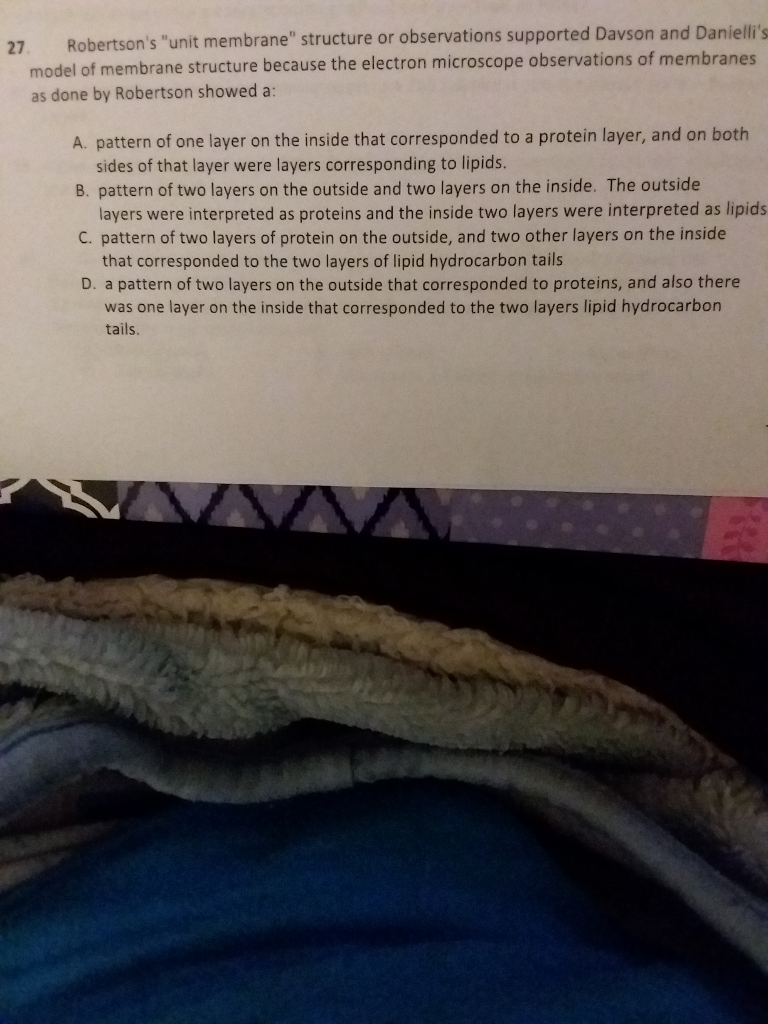 Solved Robertson's "unit membrane" structure or observations | Chegg.com
