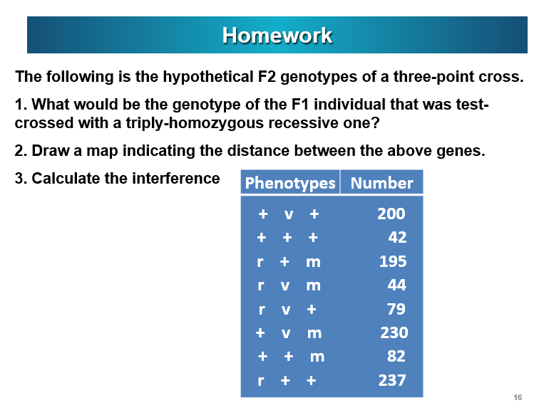 Solved The following is the hypothetical F2 genotypes of a | Chegg.com