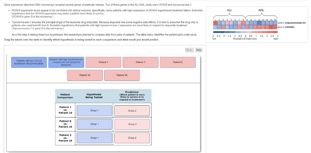 Solved Gene Expression Data From Dna Microarrays Revealad