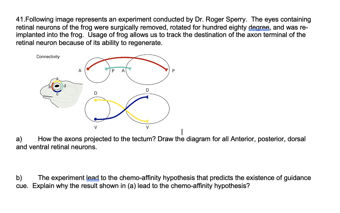 41.Following image represents an experiment conducted | Chegg.com