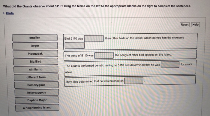 Solved What did the Grants observe about 5110? Drag the | Chegg.com