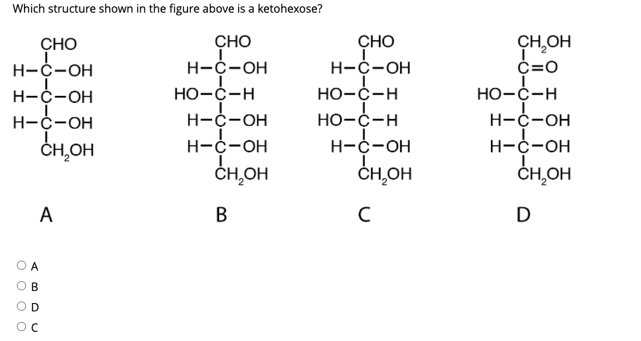 Solved Which structure shown in the figure above is a | Chegg.com