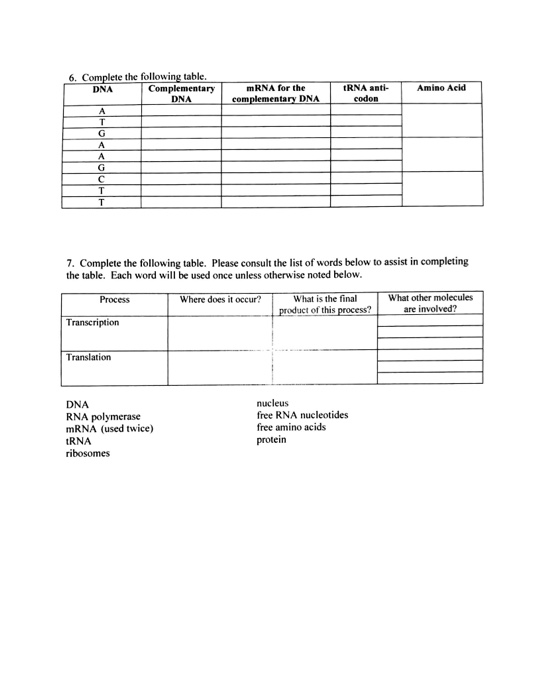 Solved Transcription & Translation "Comic Strip" Sequence: | Chegg.com