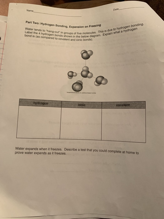Solved Name Date Properties of Water Lab: AP Biology Lab 1 | Chegg.com
