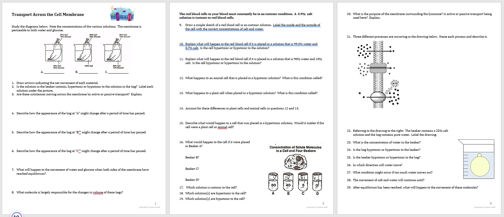 Transport Across the Cell Membrane Study the diagrams | Chegg.com