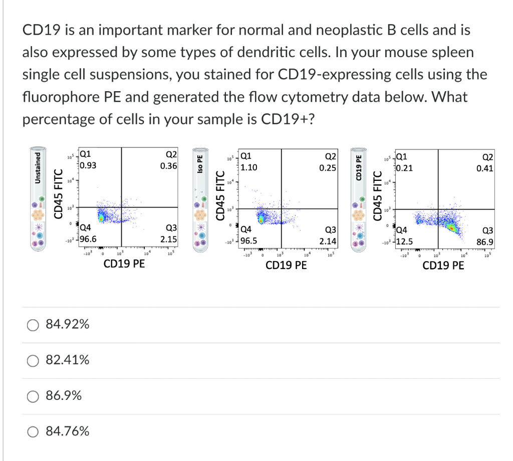 Solved CD19 is an important marker for normal and neoplastic | Chegg.com
